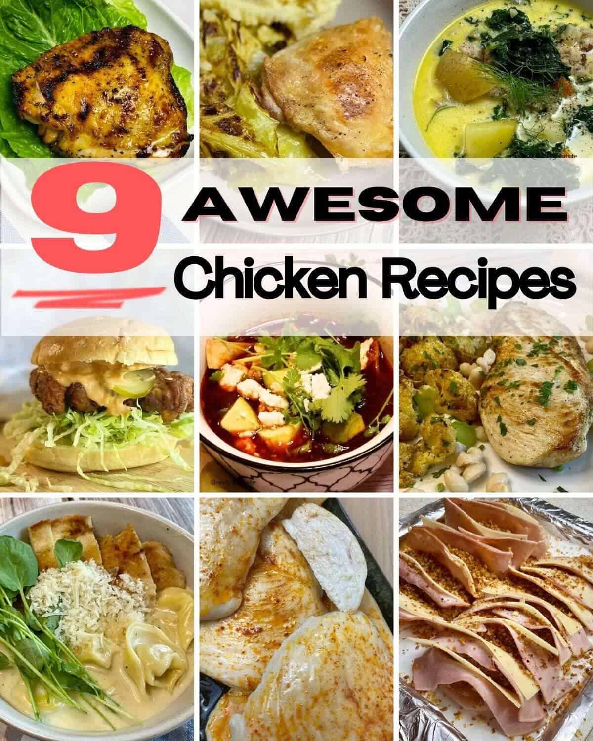 9 Awesome Chicken Recipes - The Measured Scoop